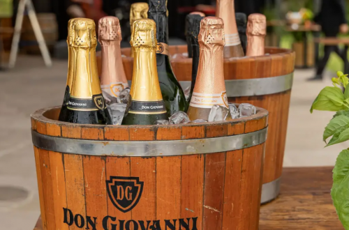 Festa das Safras 2026 - Bento Convention