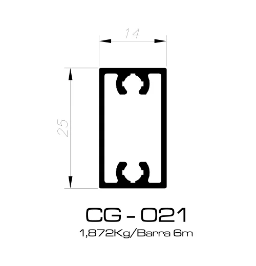 CG-021 - VSM
